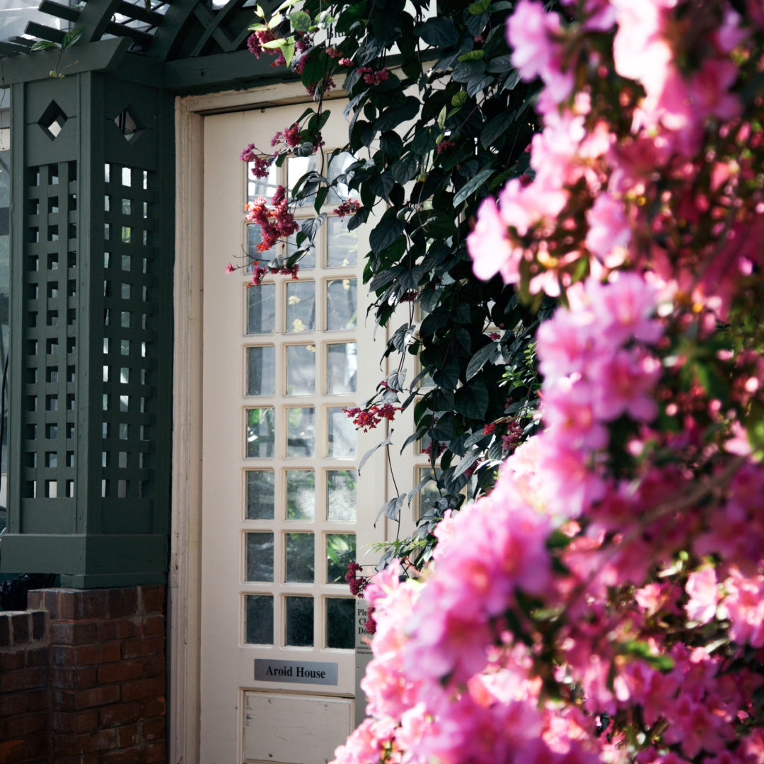 Wisconsin Spring Photography Tips