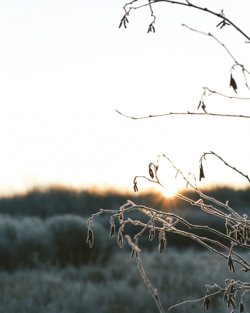 Wisconsin Spring Photography Tips