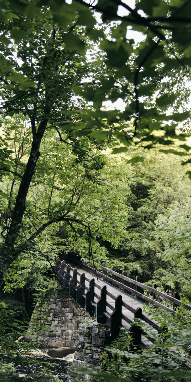 Wisconsin Guide: The Dells of the Eau Claire County Park