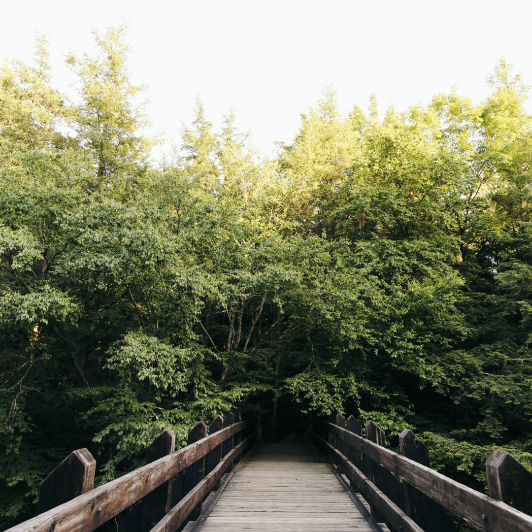 Wisconsin Guide: The Dells of the Eau Claire County Park