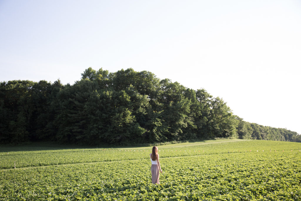 A Central Wisconsin Strawberry Farm That You'll Fall In Love With