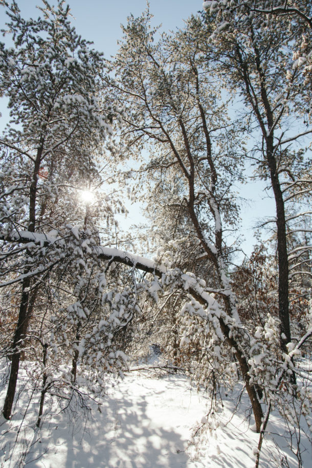 This Super Secret Natural Area Turns into a Winter Wonderland