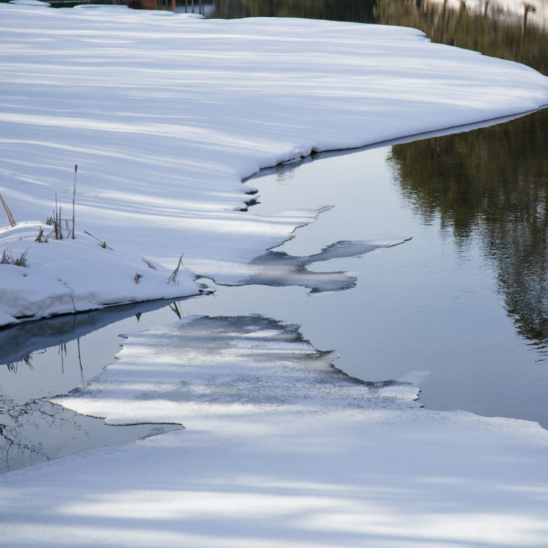 Wisconsin Spring Photography Tips