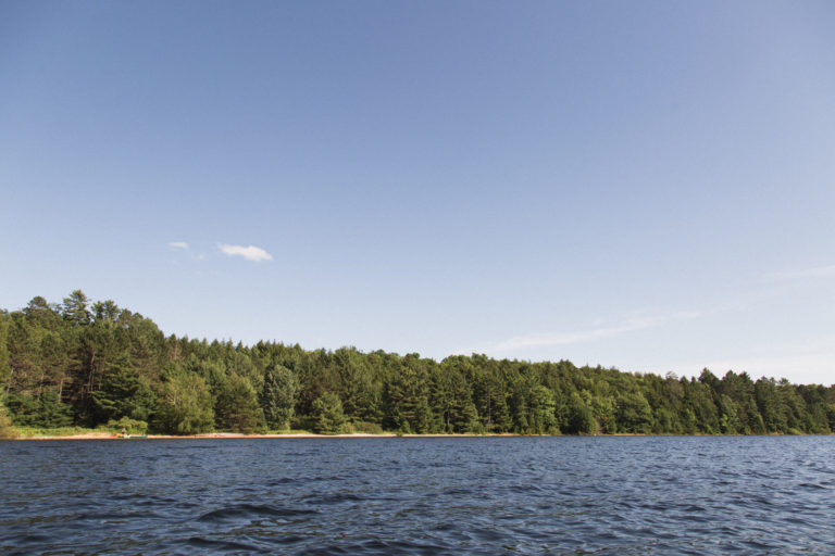 Sylvania Wilderness | Clark Lake, Michigan