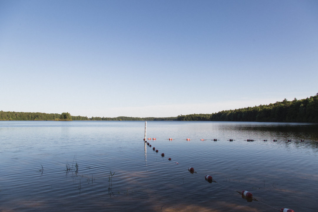 Sylvania Wilderness | Clark Lake, Michigan