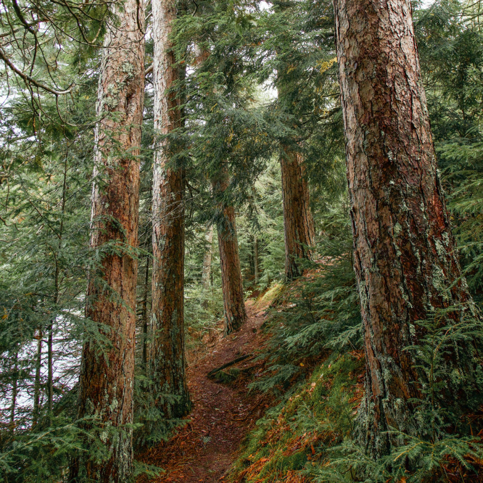 Northwoods Travel Guide