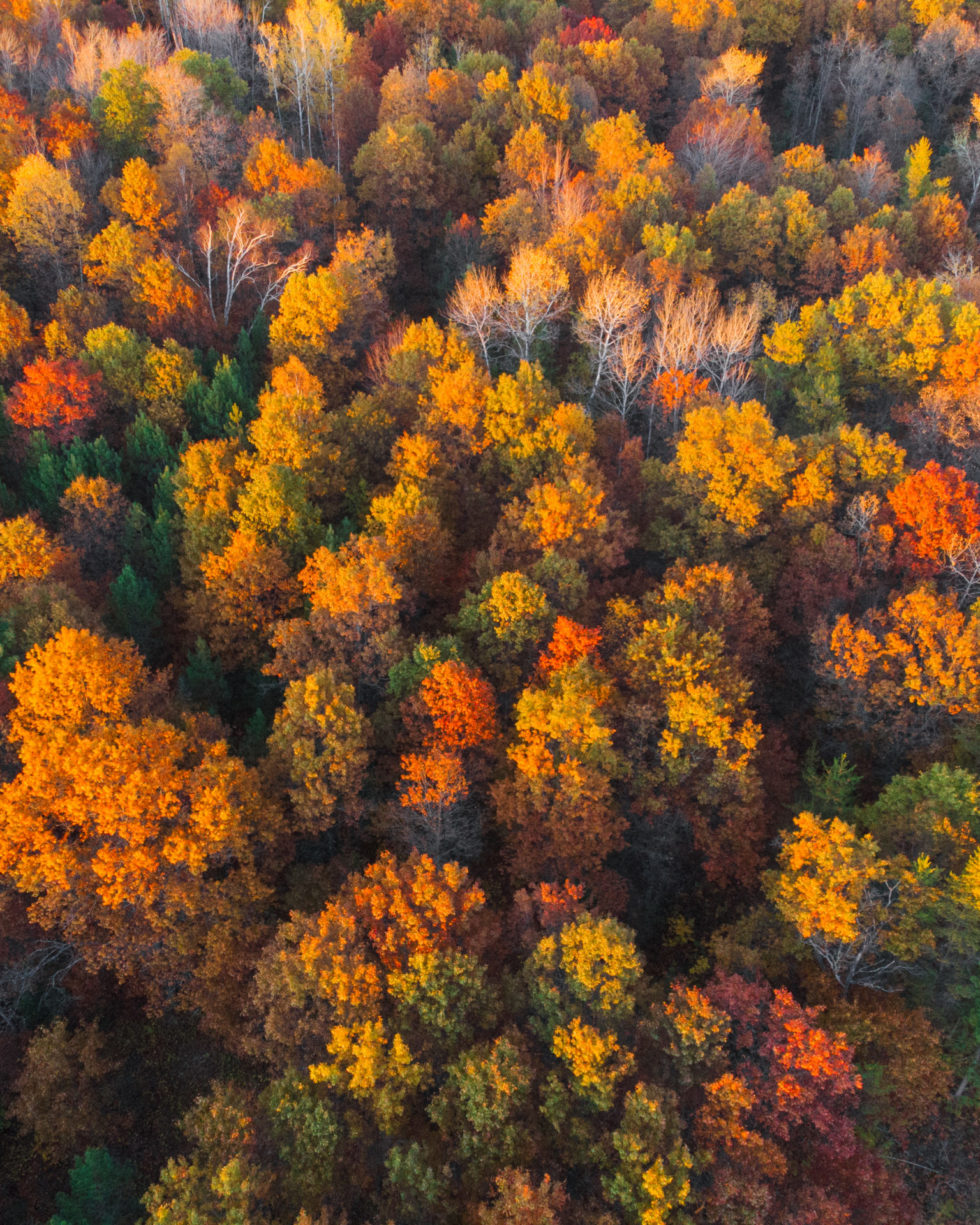 Northwoods Travel Guide