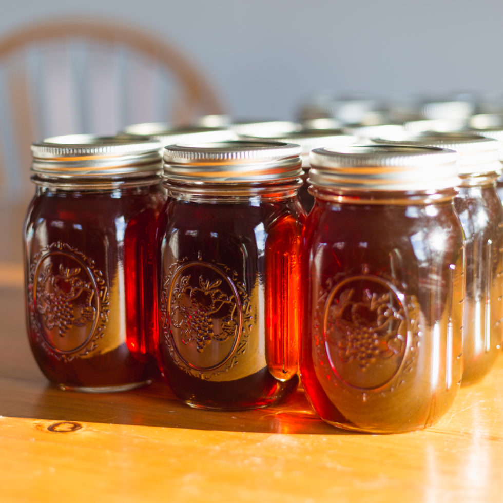 Making Maple Syrup: A Guide for Beginners