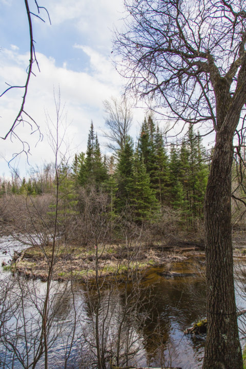 Woodboro Lakes Wildlife Area