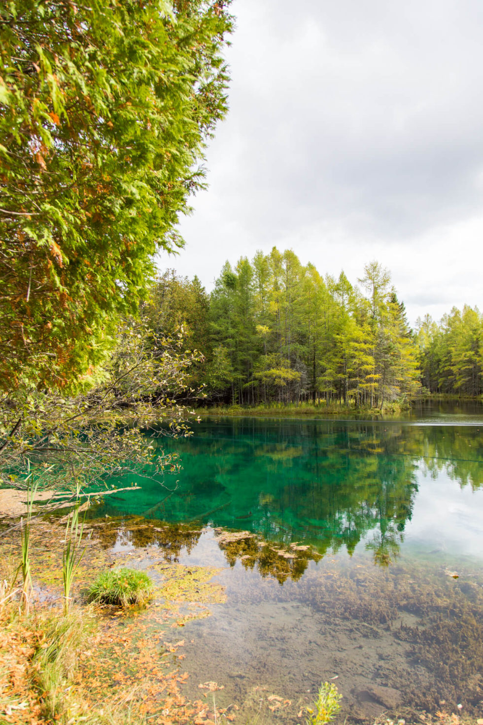 Everything You Need To Know About Visiting Kitch-iti-kipi