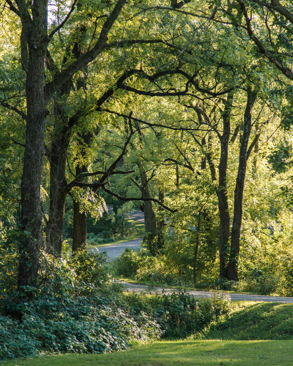 Exploring Iowa's State Parks