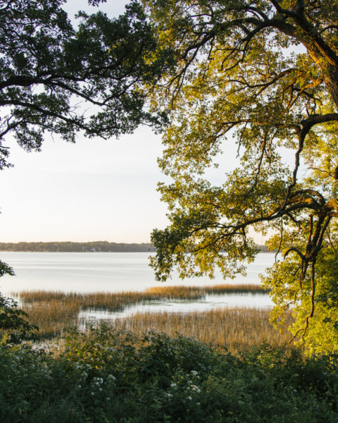 Exploring Iowa's State Parks